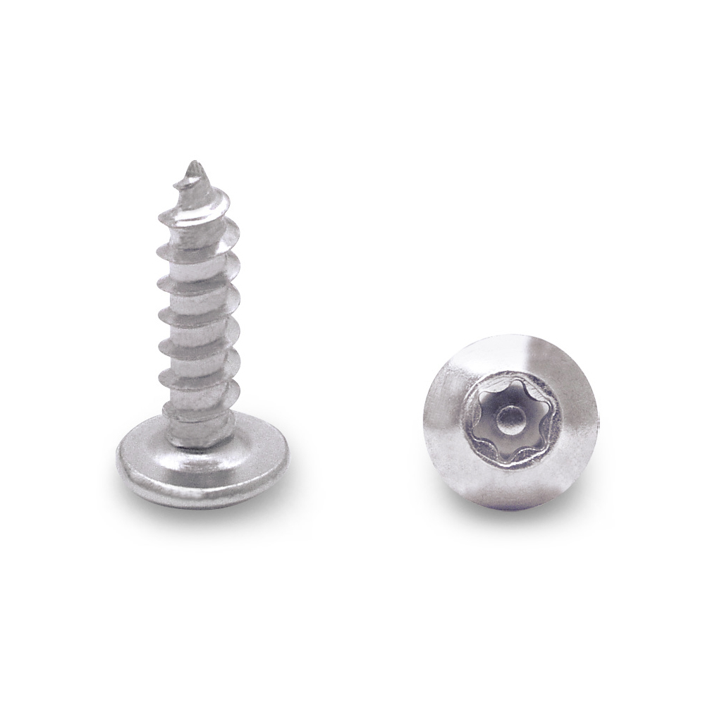 Security Screw - Partitions Co.